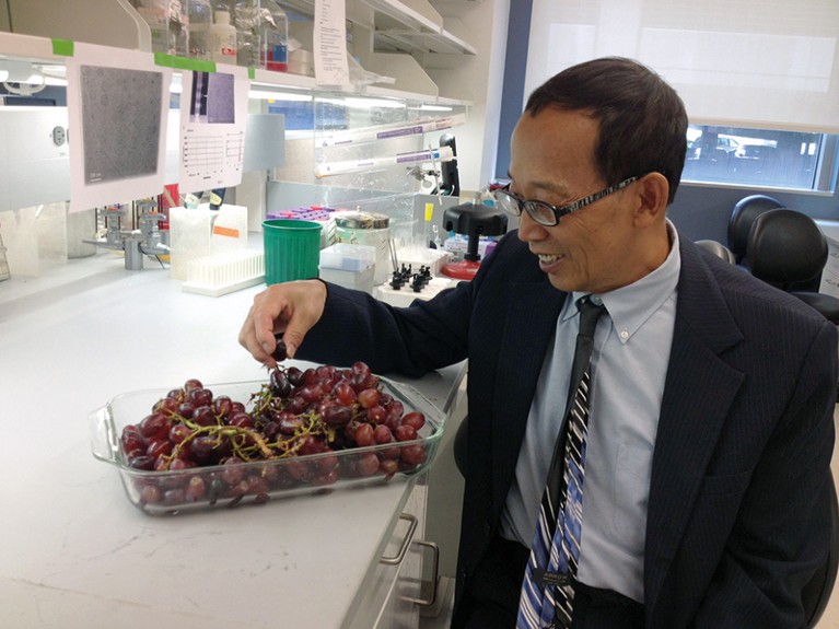 Do the microRNAs we eat affect gene expression?