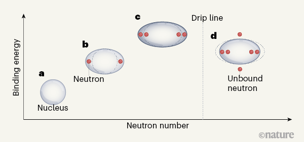 Competition at nuclear extremes explains why neutrons drip off nuclei