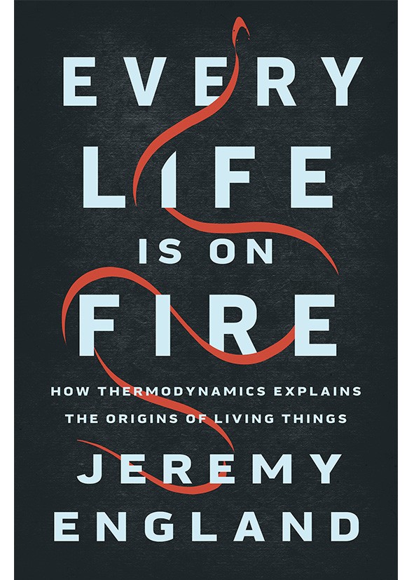 A deep-dive into ignorance, the man behind the Rubik’s Cube, and a ...