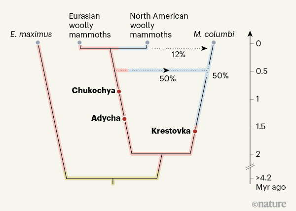 Million-year-old DNA provides a glimpse of mammoth evolution