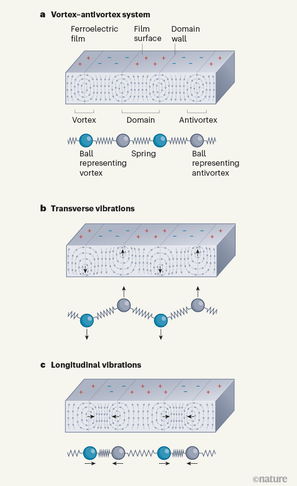 Dynamics of polarization vortices revealed in a ferroelectric material
