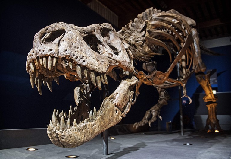 Every T. rex, COVID asthma drug and variant control