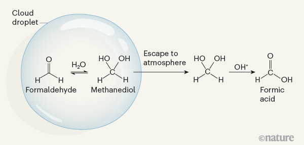 Cloud droplets aid the production of formic acid in the atmosphere