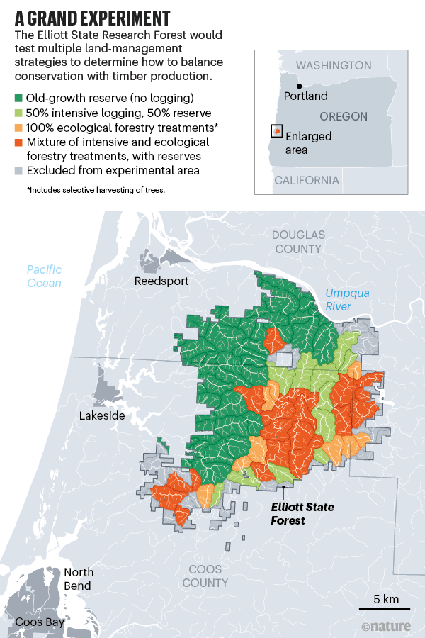 Controversial forestry experiment will be largest-ever in United States