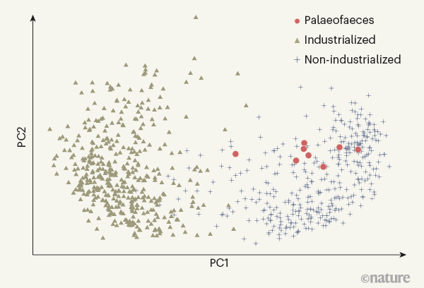Ancient human faeces reveal gut microbes of the past