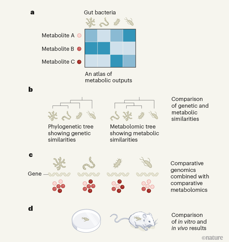 Deciphering metabolism, one microbe at a time