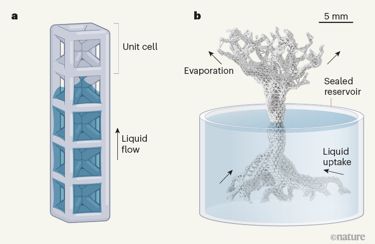 Daily briefing: The evidence is stacking up for Sputnik V vaccine