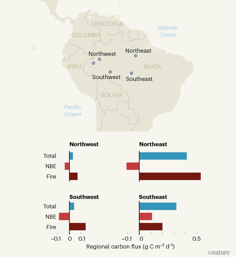 Southeast Amazonia is no longer a carbon sink
