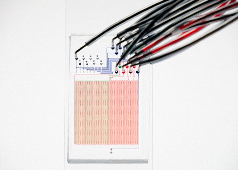 Single chip tests thousands of enzyme mutations at once