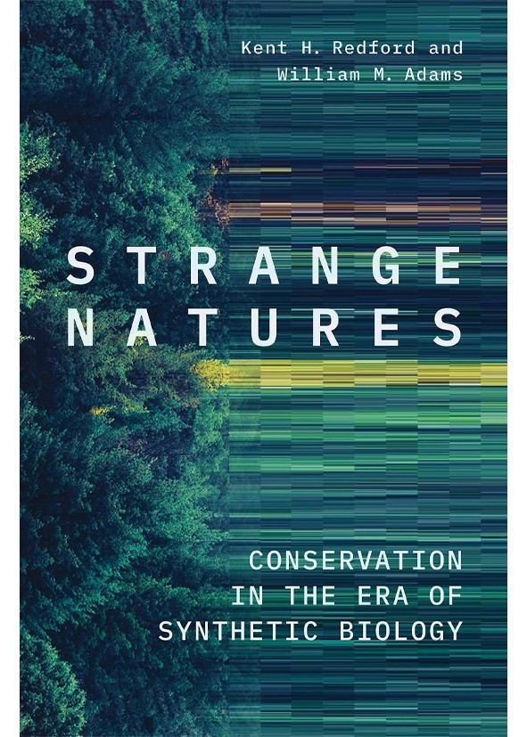 Pain in the brain, climate racism, and quantum cusp: Books in brief