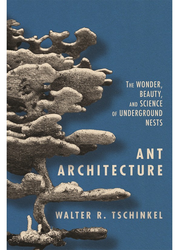 Amazing ants, brain maps, and mammals before the dinosaurs: Books in brief