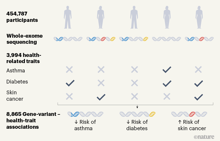 A massive effort links protein-coding gene variants to health