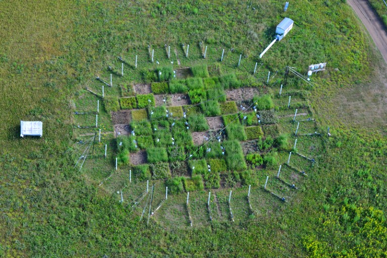 Constraints on estimating the CO2 fertilization effect emerge