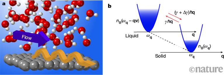 Water and carbon make a quantum couple