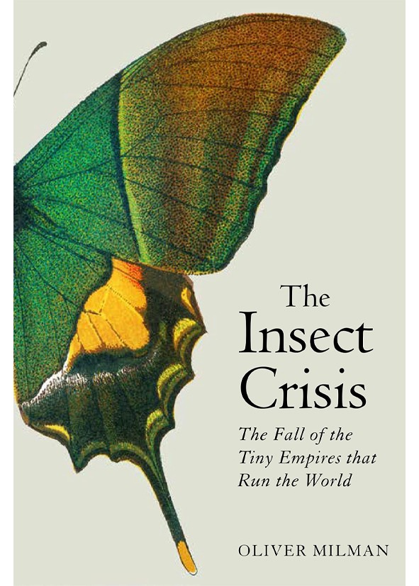 Disappearing insects, and forensics uncovered: Books in brief