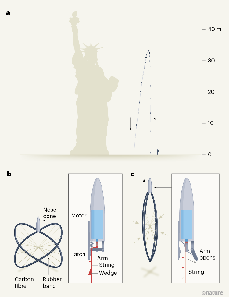Jumping robot bests biology by enhancing stored energy