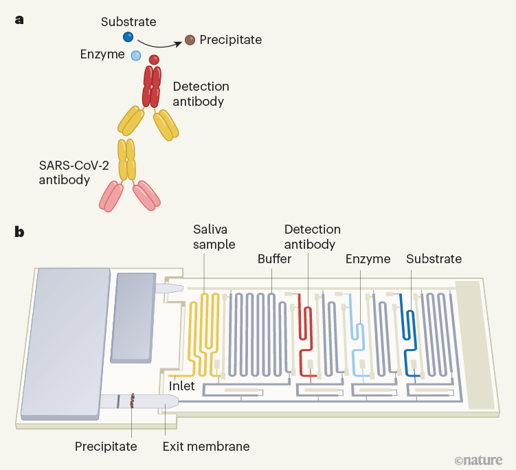 A lab-on-a-chip that takes the chip out of the lab