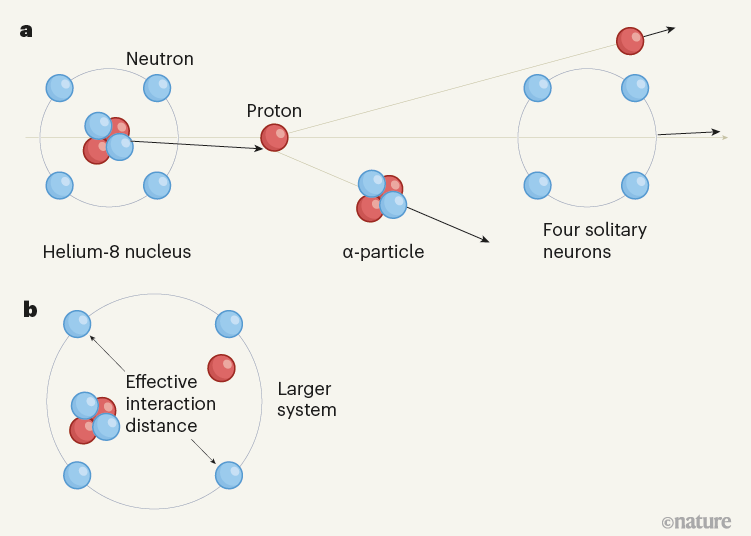 Collisions hint that four neutrons form a transient isolated entity