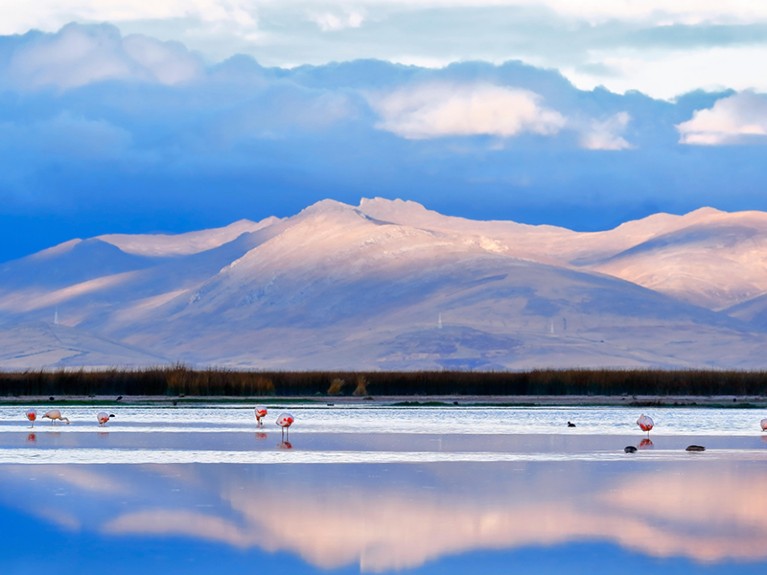 Sediment study finds the pulse of tropical glaciers