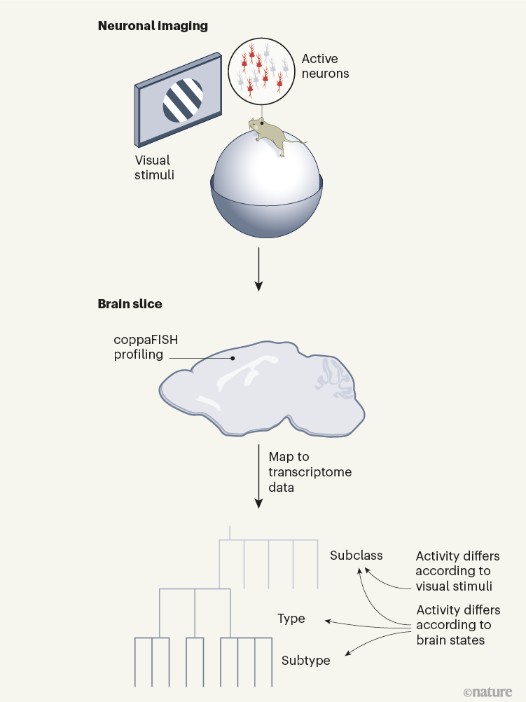 Vaccine mandates, microaggressions — the week in infographics