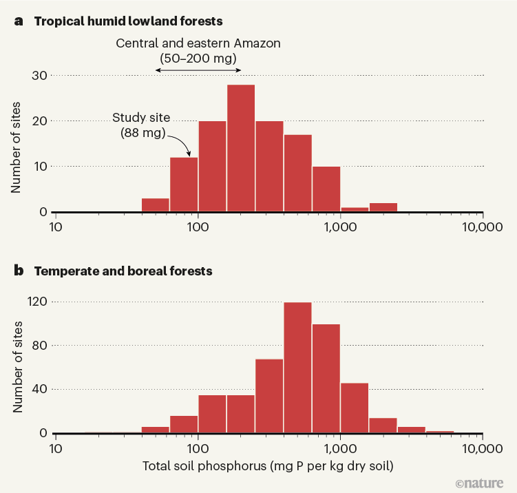 Low phosphorus levels limit carbon capture by Amazonian forests