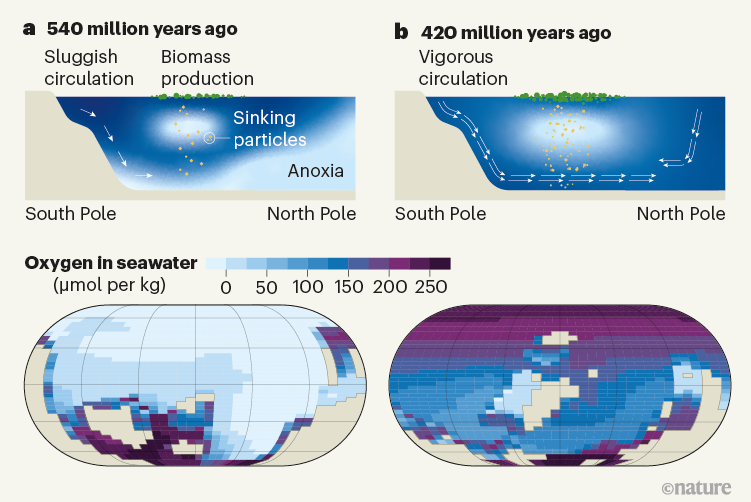 Plate tectonics controls ocean oxygen levels