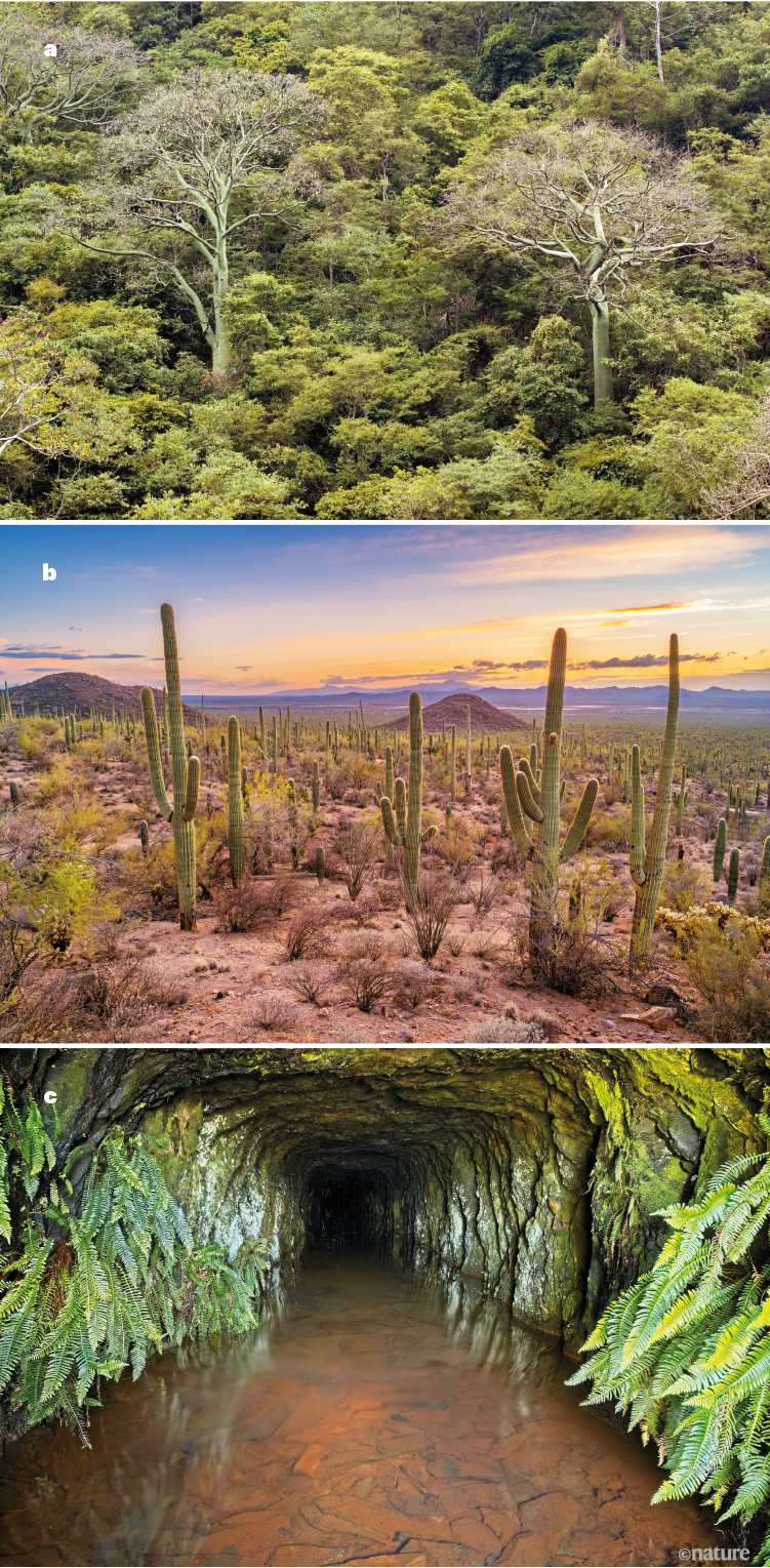 New catalogue of Earth’s ecosystems