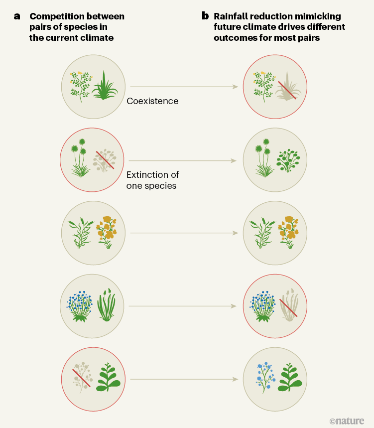 The role of neighbouring species in survival as the climate changes
