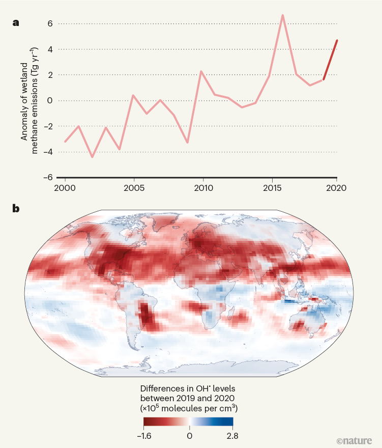 Cause of the 2020 surge in atmospheric methane clarified
