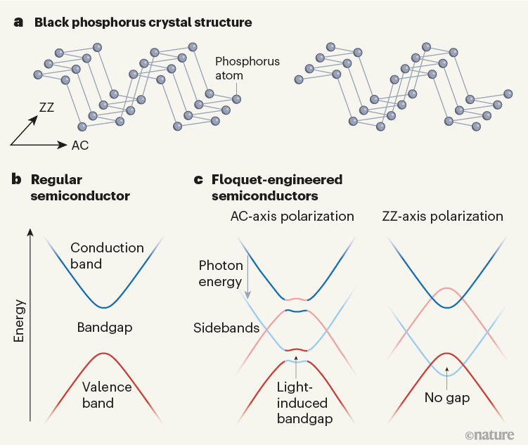 Light tailors the electronic properties of a model semiconductor