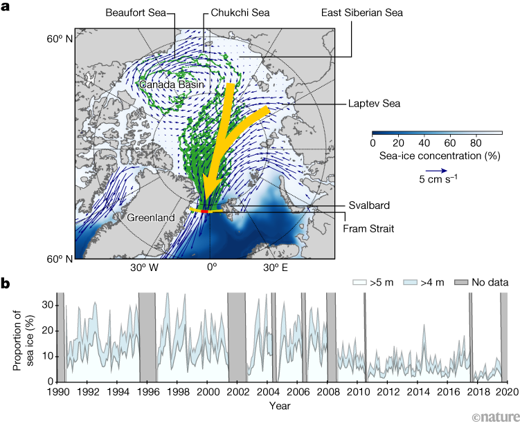 An abrupt decline of thick sea ice in the Arctic Ocean