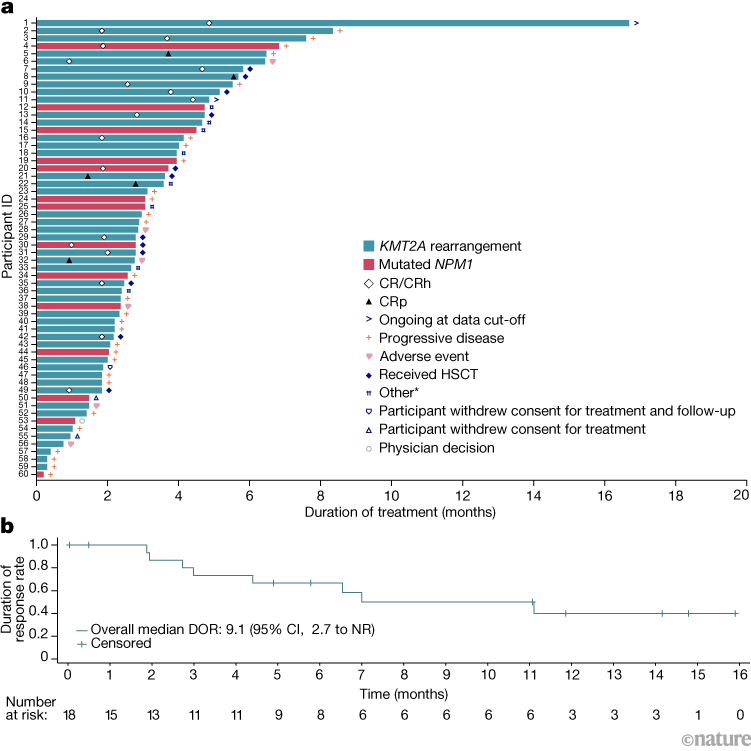 Inhibition of the protein menin shows early promise in leukaemia