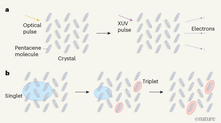 Elusive excited states identified from cutting-edge molecular movies