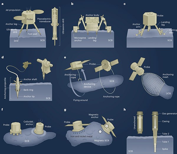 Daily briefing: The nine wild animals that could help lock away carbon