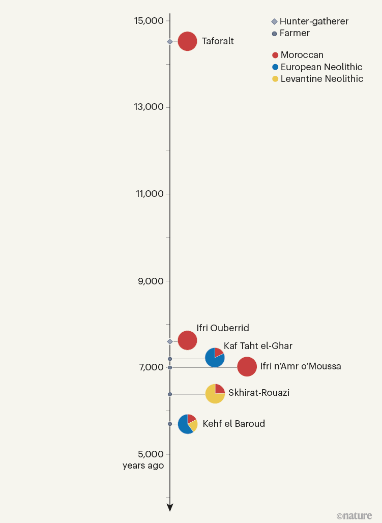 Ancient DNA reveals how farming spread into northwest Africa