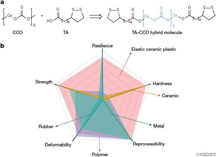Elastic ceramic plastic made using molecules with organic and inorganic ...