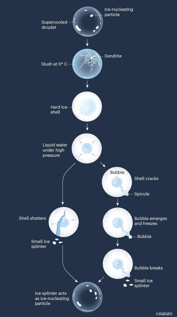 Clues to rain formation found in droplet images