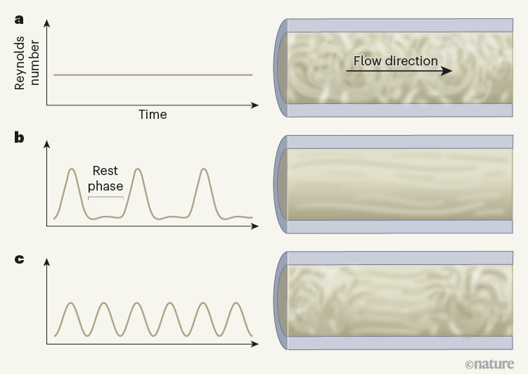 Cardiac cycle inspires optimized pipe flow