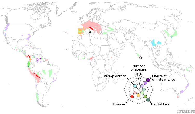 Climate change and habitat loss push amphibians closer to extinction