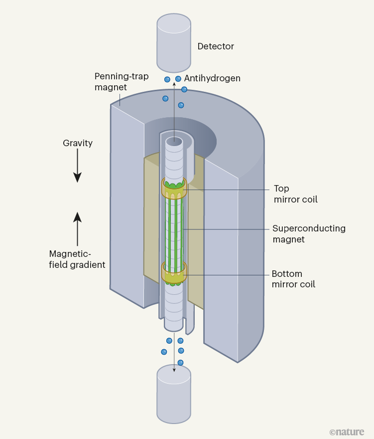 Free-falling antihydrogen reveals the effect of gravity on antimatter