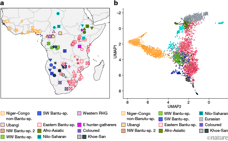 The genetic diversity of Bantu-speaking populations helped to shape ...