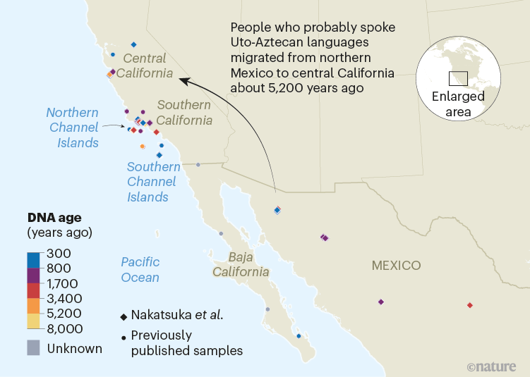Ancient DNA uncovers past migrations in California
