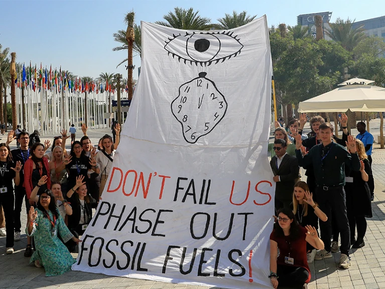 Climate activists fly to Dubai to pose and protest that you have too ...