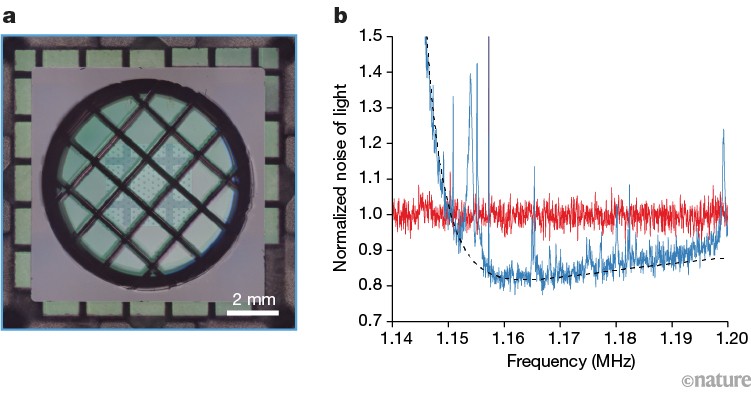 Measuring the quantum vibrations of a small drum at room temperature