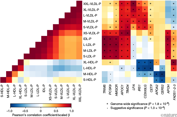 Mega study charts how genetic variants affect metabolism