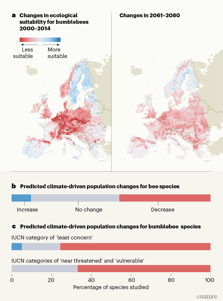 Climate change predicted to exacerbate declines in bee populations