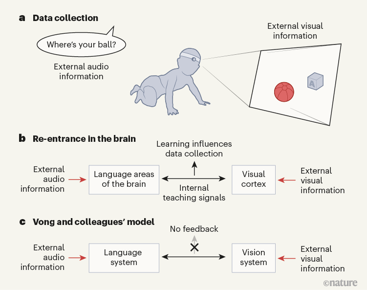Can lessons from infants solve the problems of data-greedy AI?