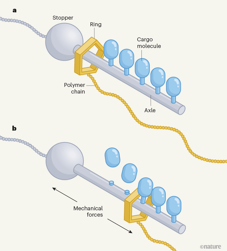 Nanoscale scythe cuts molecular tethers using mechanical forces