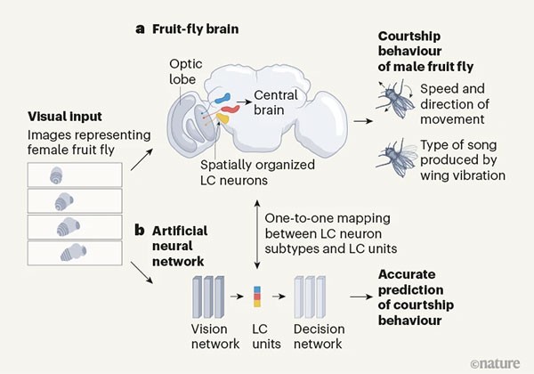 AI & robotics briefing: What would you do with a third thumb?