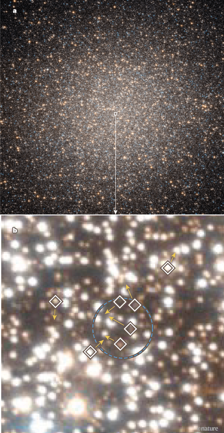 Speedy stars blow the cover of hidden black hole